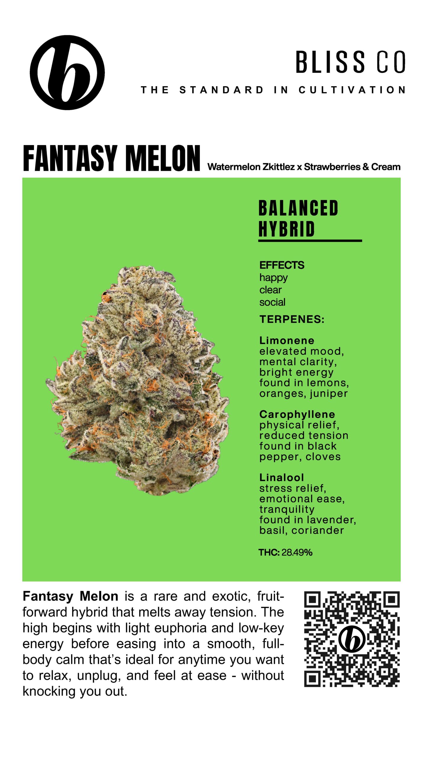 BLISS CO – Your Trusted Source for Cannabis in New Jersey